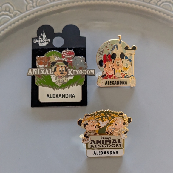 Disney | Other | Disney Name Alexandra Pin Set | Poshmark